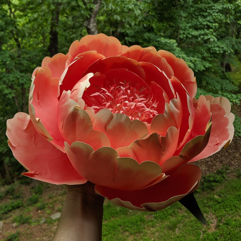 Giant Ball Peony Paper Flower Tutorial SVG PNG Digital Files | Etsy