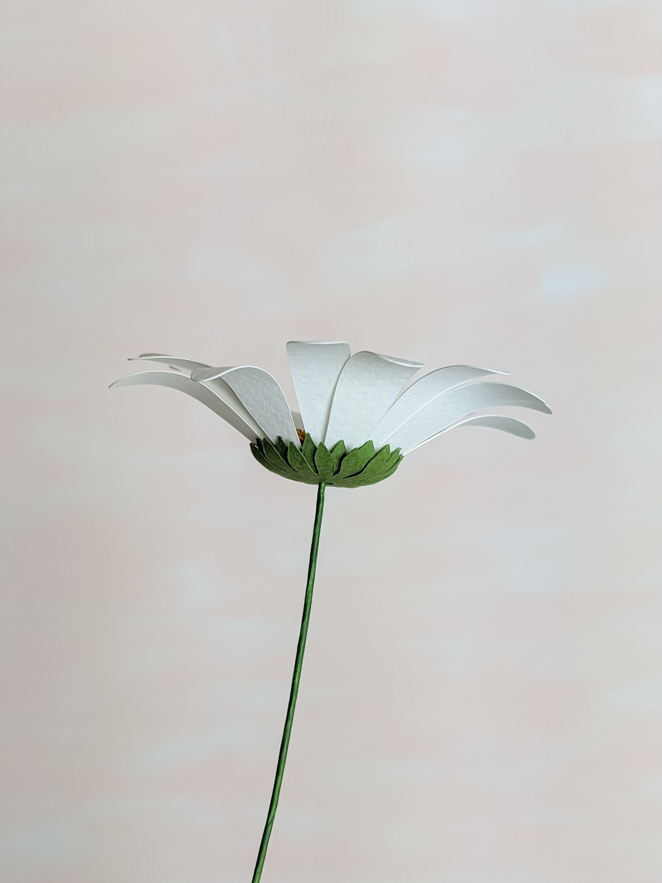 Daisy Paper Flower SVG Digital File for Cricut & Silhouette - Etsy Canada