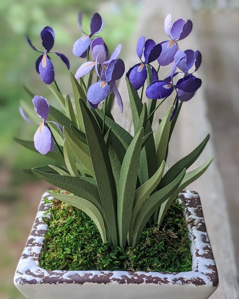 Simple Paper Iris with Leaves SVG Digital File for Cricut & | Etsy