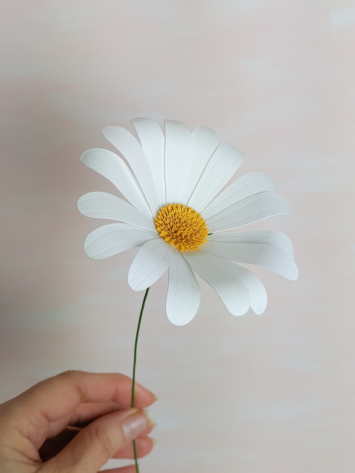 Daisy Paper Flower SVG Digital File for Cricut & Silhouette - Etsy Canada