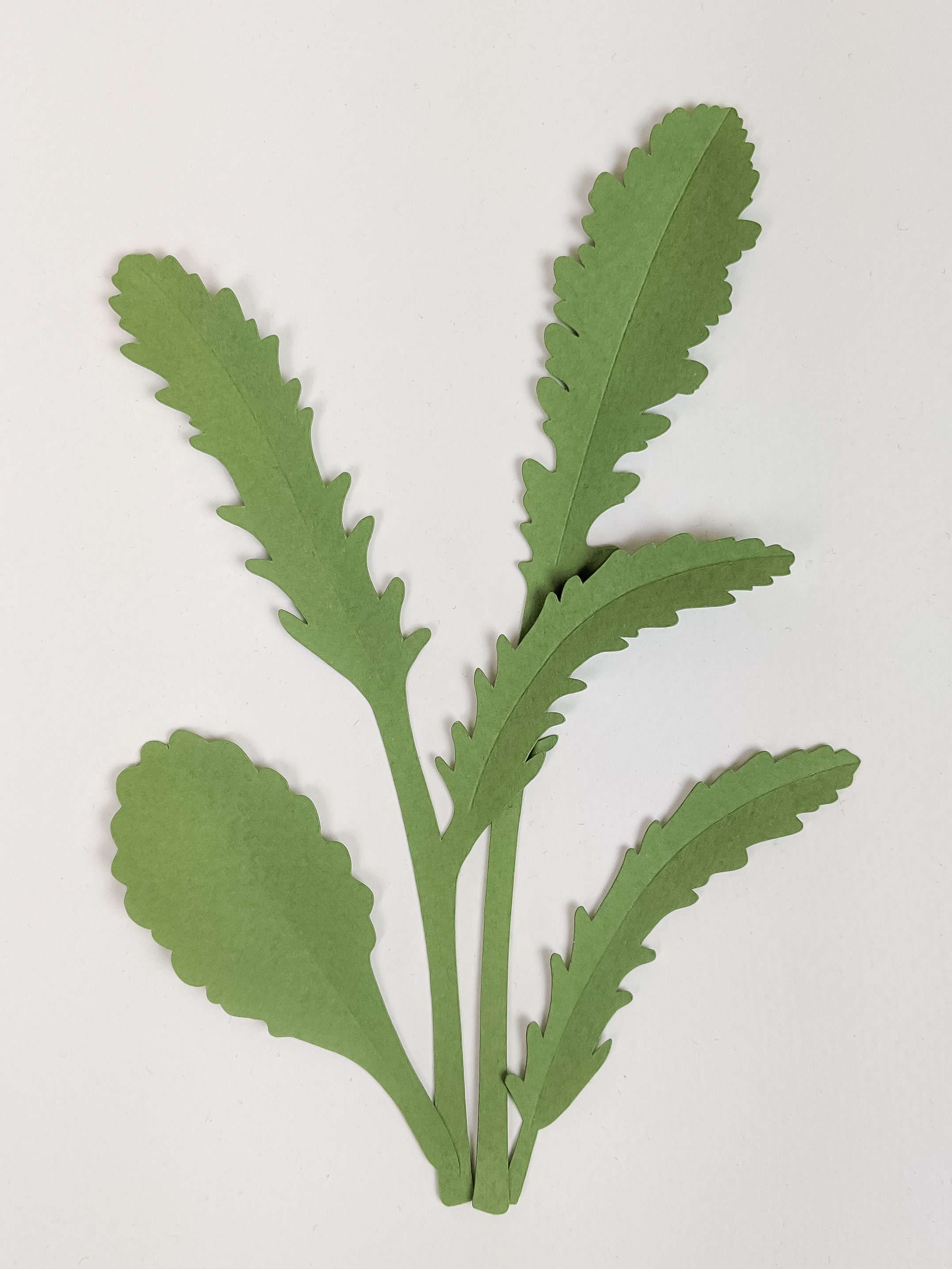 Daisy Paper Flower SVG Digital File for Cricut & Silhouette - Etsy Canada