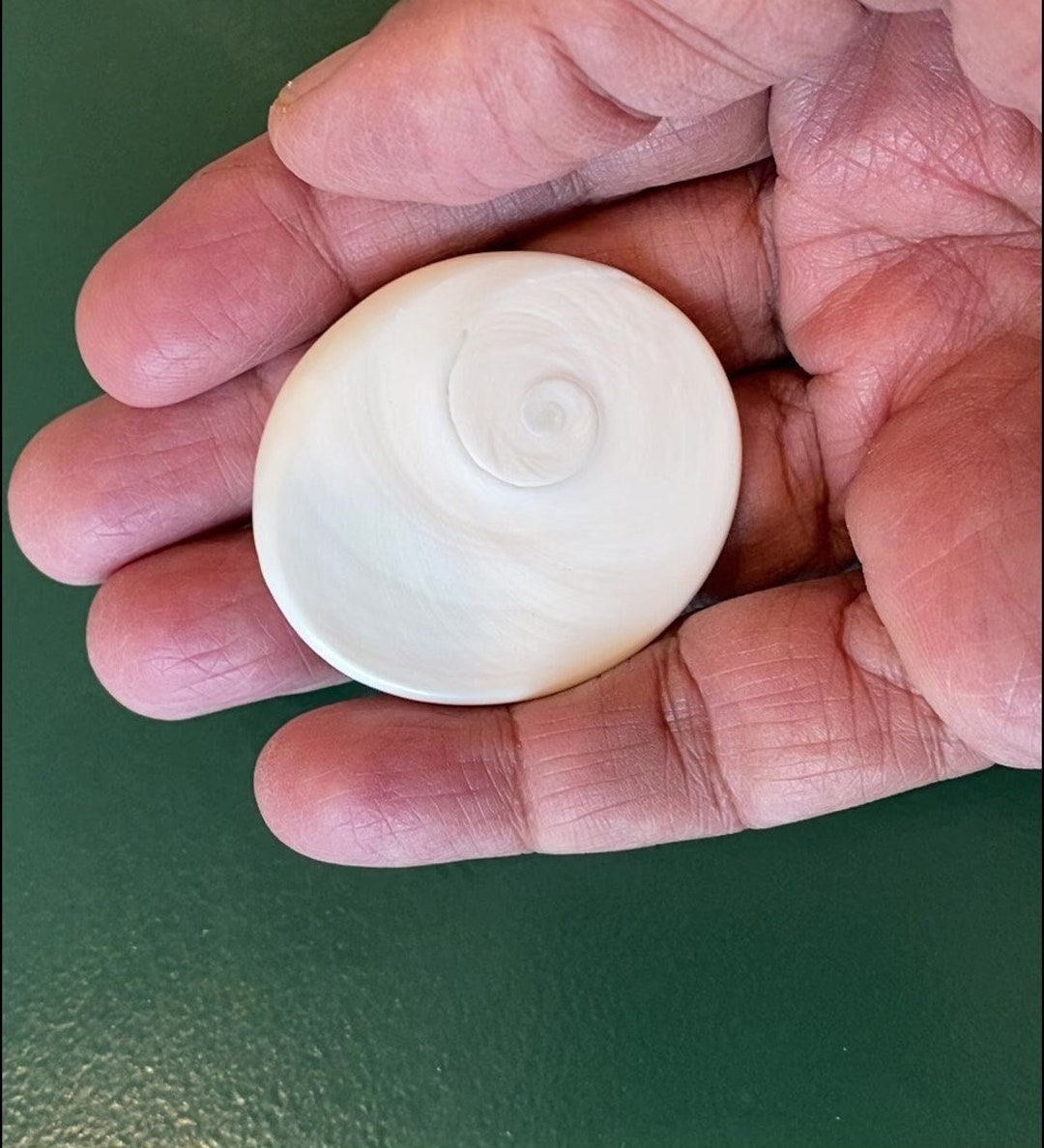 Huge..gomati Chakra Shell (tumbled), Real Natural Shell. Top Quality ...