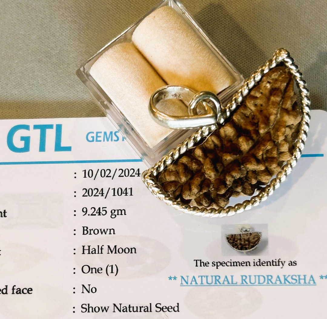 Eka Mukhi Rudraksha Pendant, Certified Natural Seed From Nepal ...
