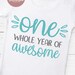 One Whole Year of Awesome First Birthday Digital Cut File | Etsy