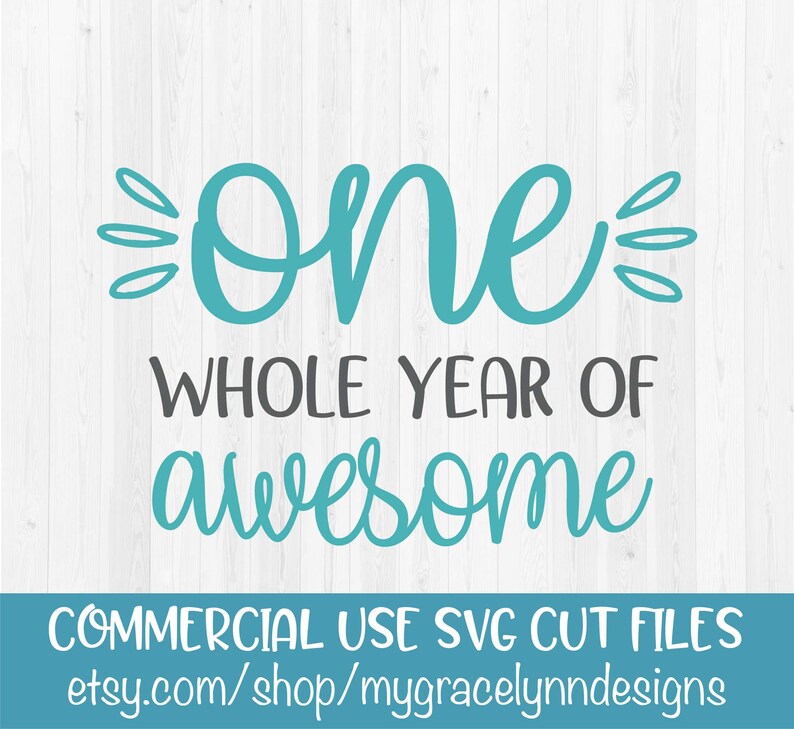 One Whole Year of Awesome First Birthday Digital Cut File - Etsy