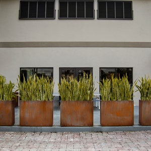 Corten Steel Edge Planters - Etsy