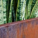 Corten Steel Edge Planters - Etsy