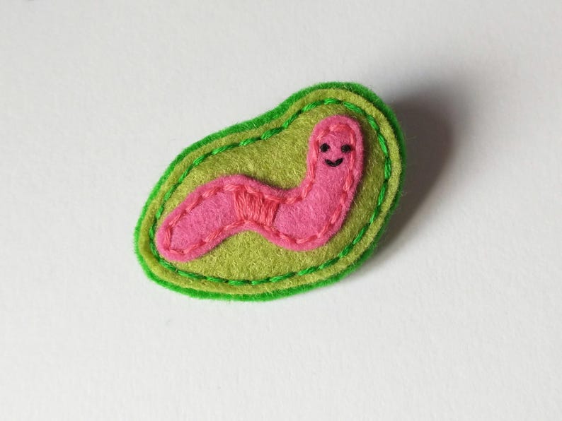 Worm Pin, Green and Pink Handsewn Felt Brooch - Etsy