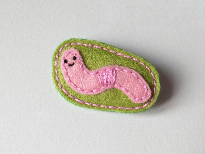 Worm Pin, Green and Pink Handsewn Felt Brooch - Etsy