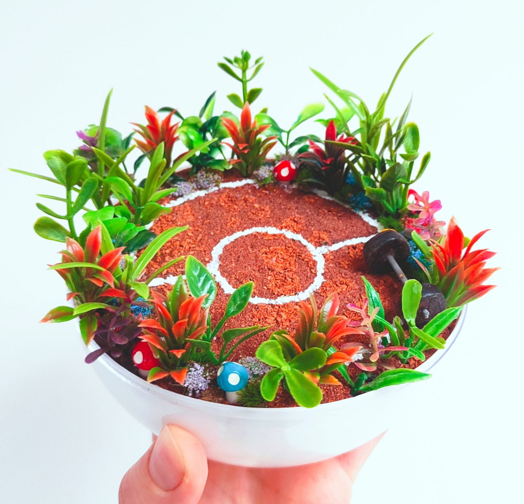 CHOOSE Your Pokémon Finished Pokeball Terrarium Pokemon - Etsy