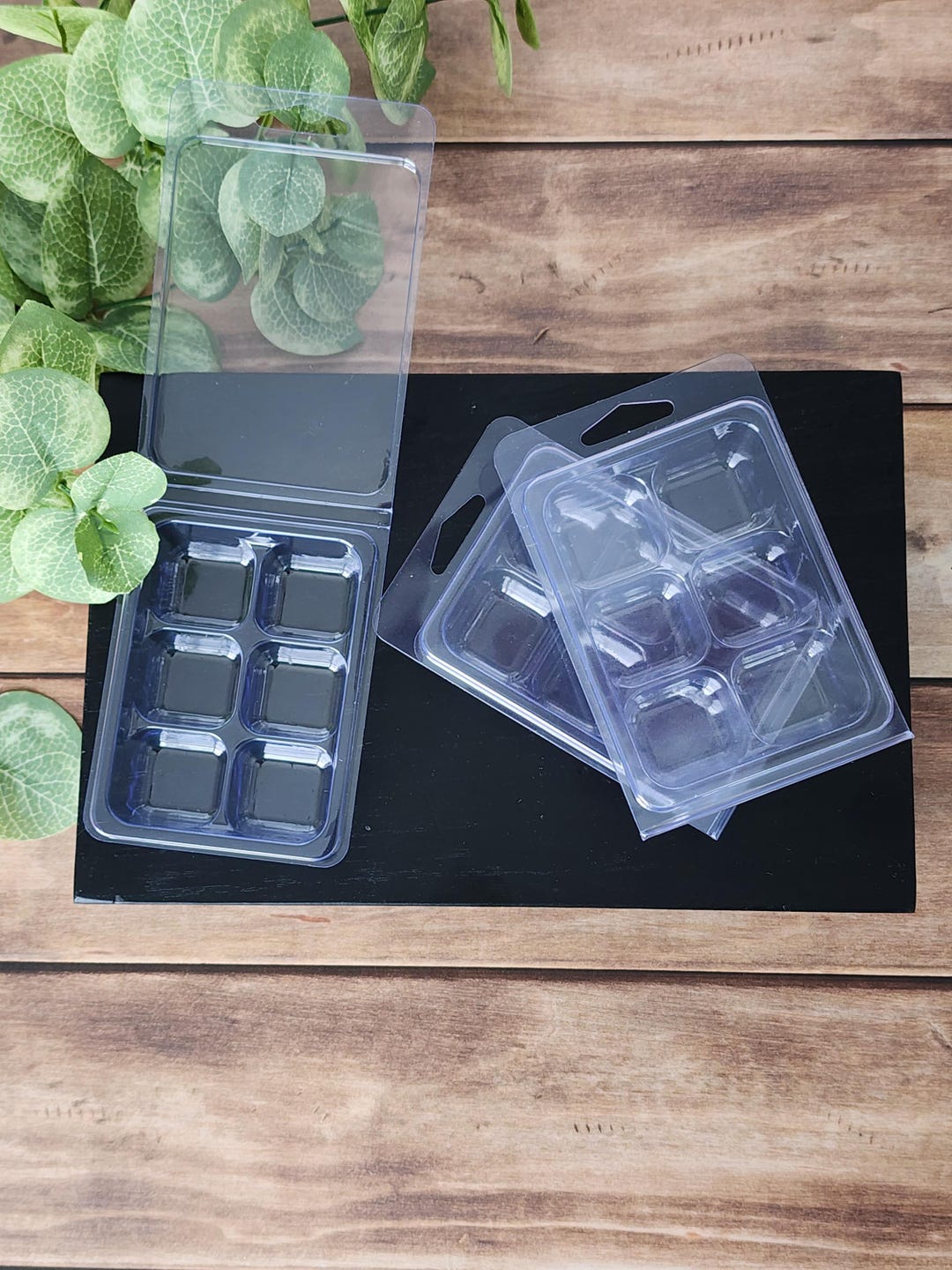 CLAMSHELLS, Clear Plastic Clam Shells - Etsy