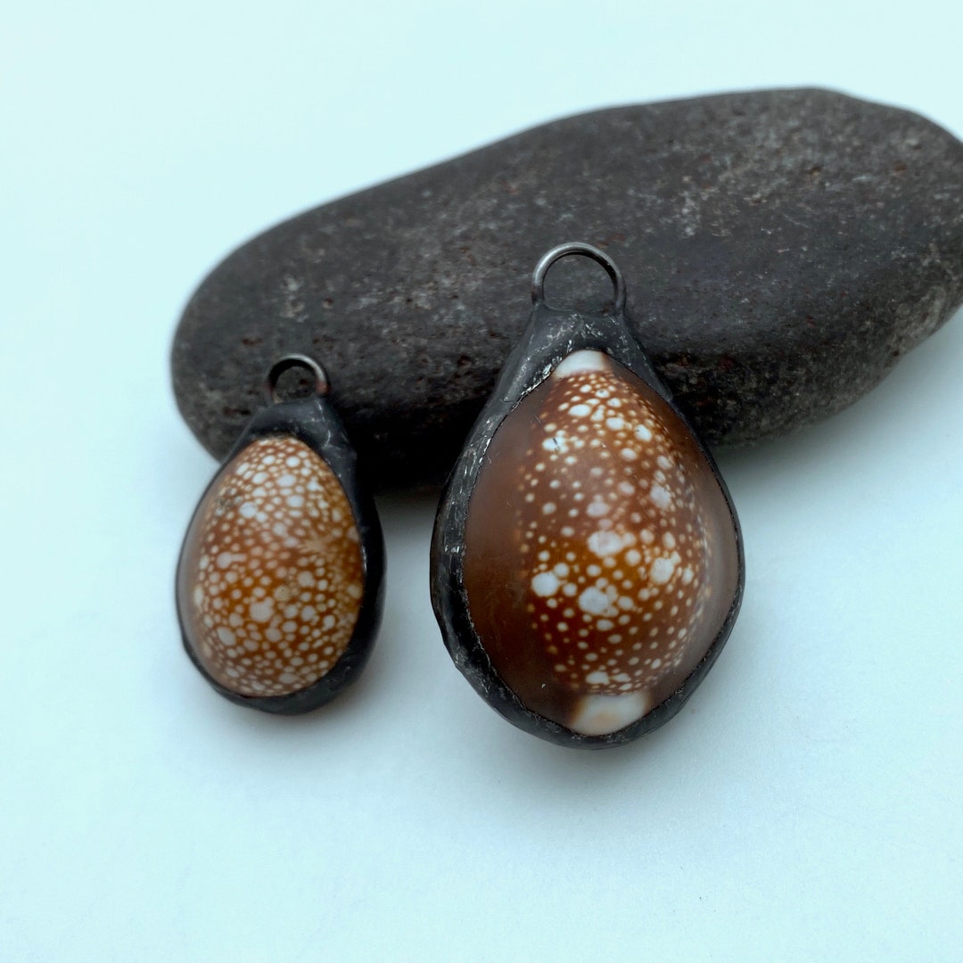 Brown & Spotted White Cowrie Shell Soldered Pendant (SHP11) - Etsy