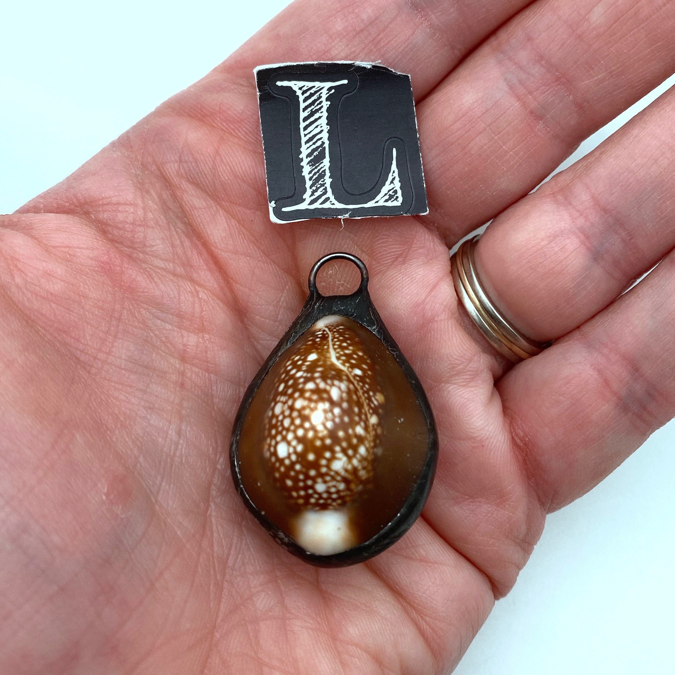 Brown & Spotted White Cowrie Shell Soldered Pendant (SHP11) - Etsy
