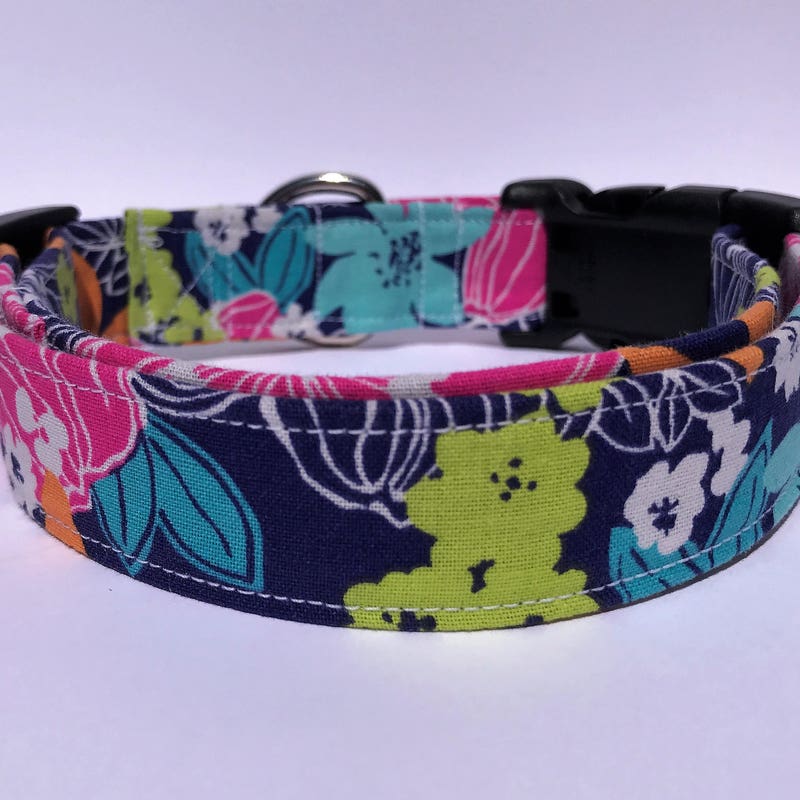 Colorful Dog Collar - Etsy