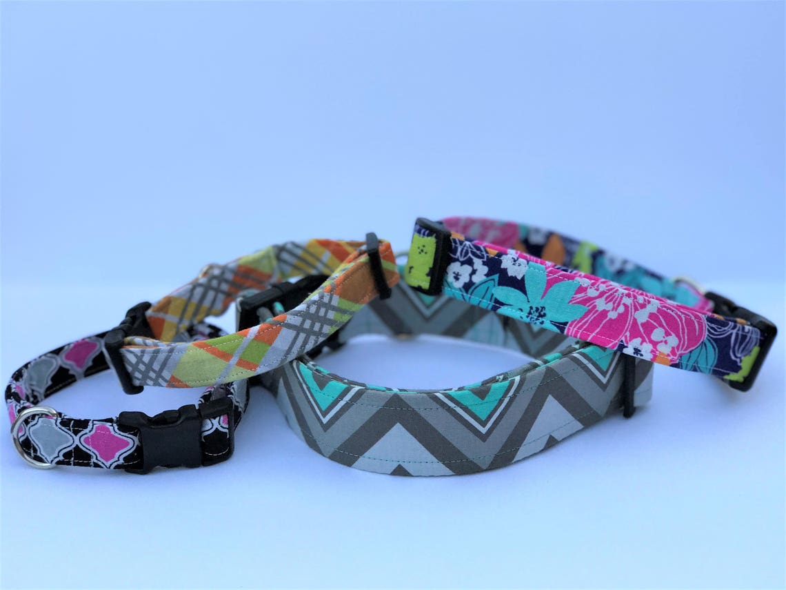 MU Tigers Dog Collar Cute Collar Large Dog Collar Custom | Etsy