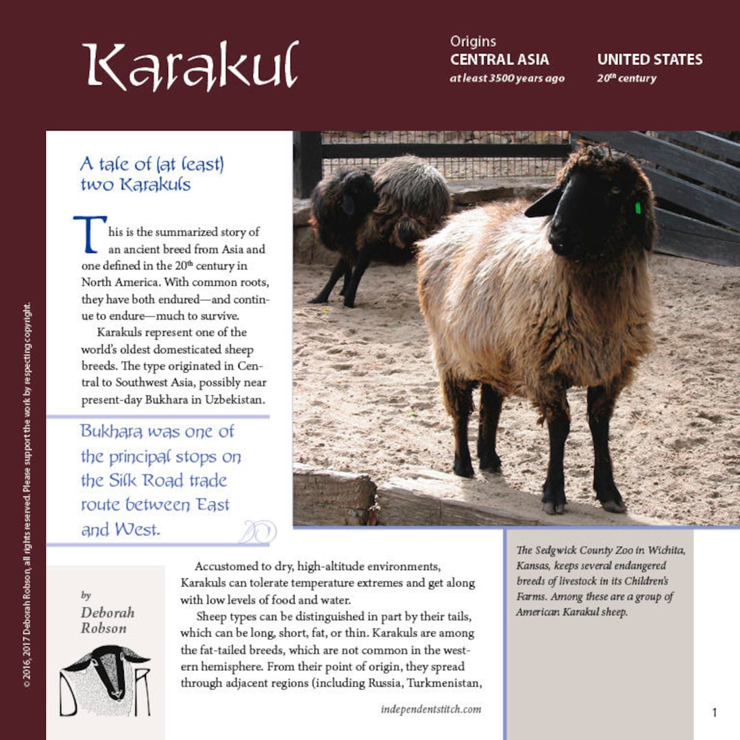 Guide to Fiber Intensive: Karakul (PDF Download) - Etsy