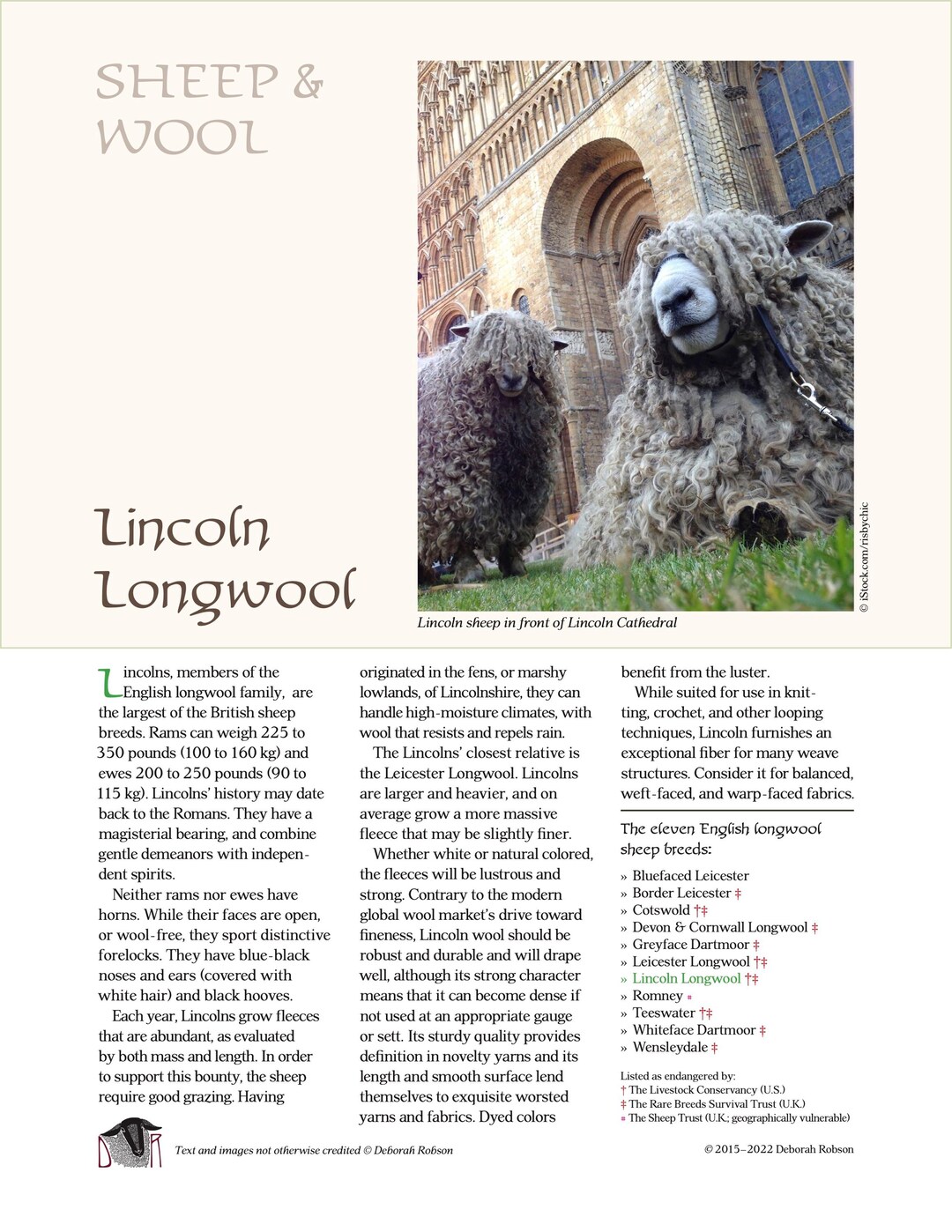 Sheep & Wool Mini Poster: Lincoln Longwool (PDF Download) - Etsy