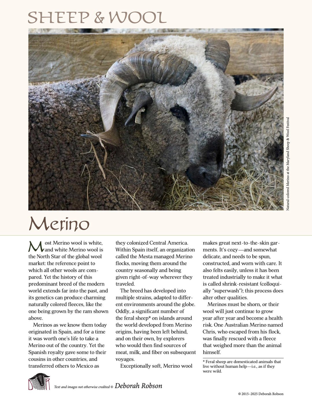 Sheep & Wool Mini Poster: Merino (PDF Download) - Etsy