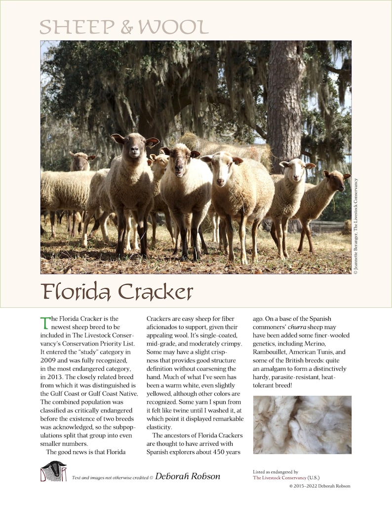 Sheep & Wool Mini Poster: Florida Cracker (PDF Download) - Etsy