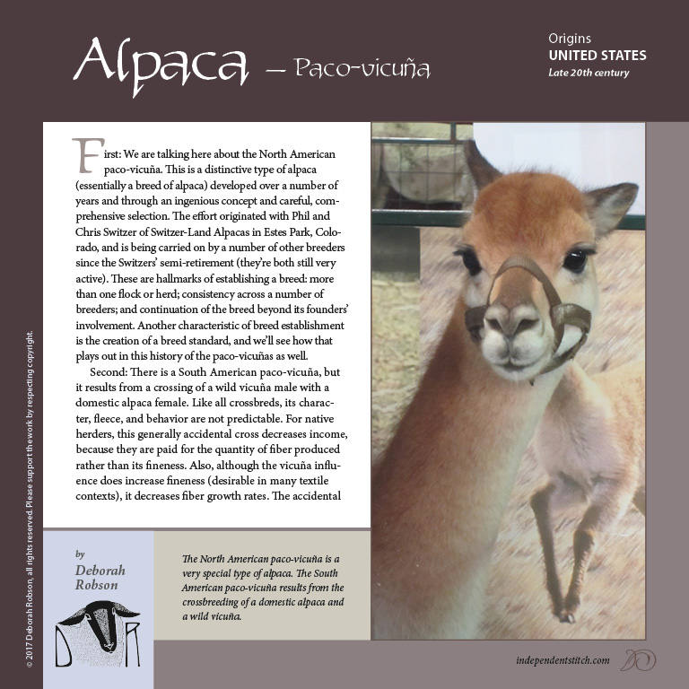Guide to Fiber Intensive: Paco-vicuña Alpaca (PDF Download) - Etsy