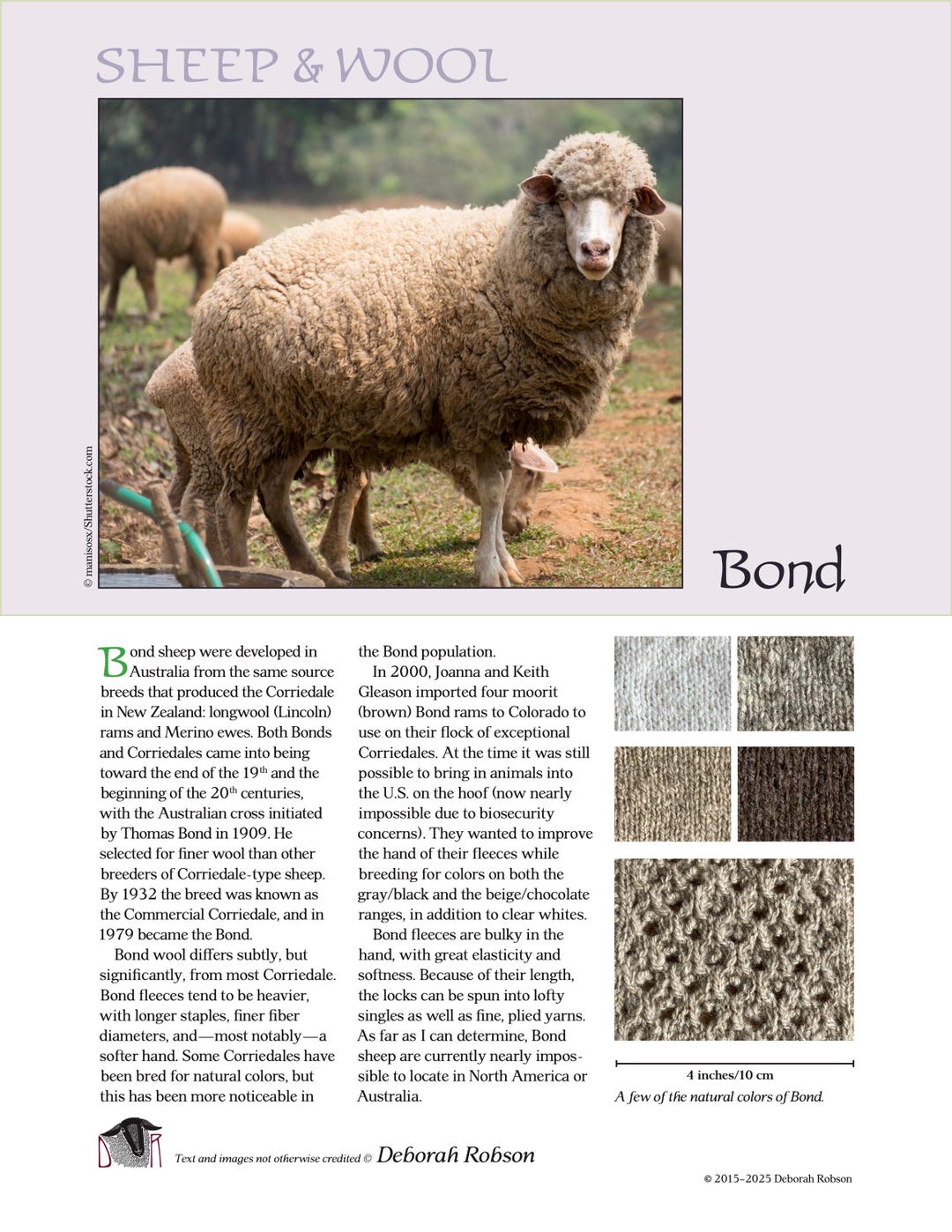 Sheep & Wool Mini Poster: Bond (PDF Download) - Etsy