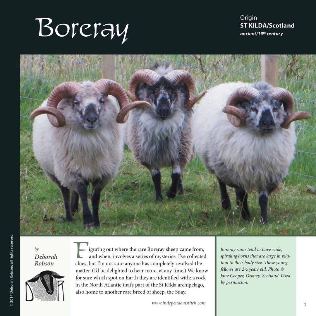 Guide to Fiber Intensive: Boreray (PDF Download) - Etsy