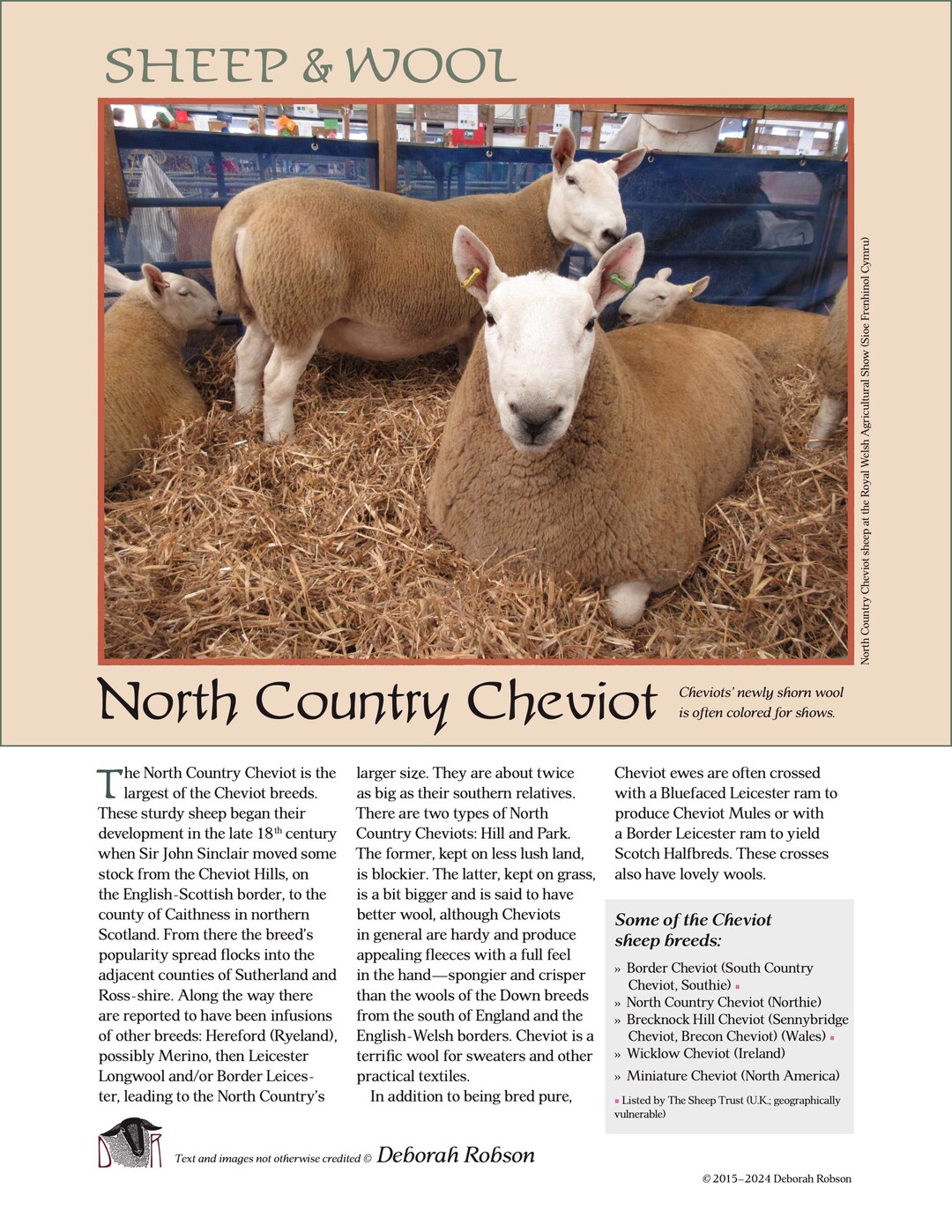 Sheep & Wool Mini Poster: North Country Cheviot (PDF Download) - Etsy