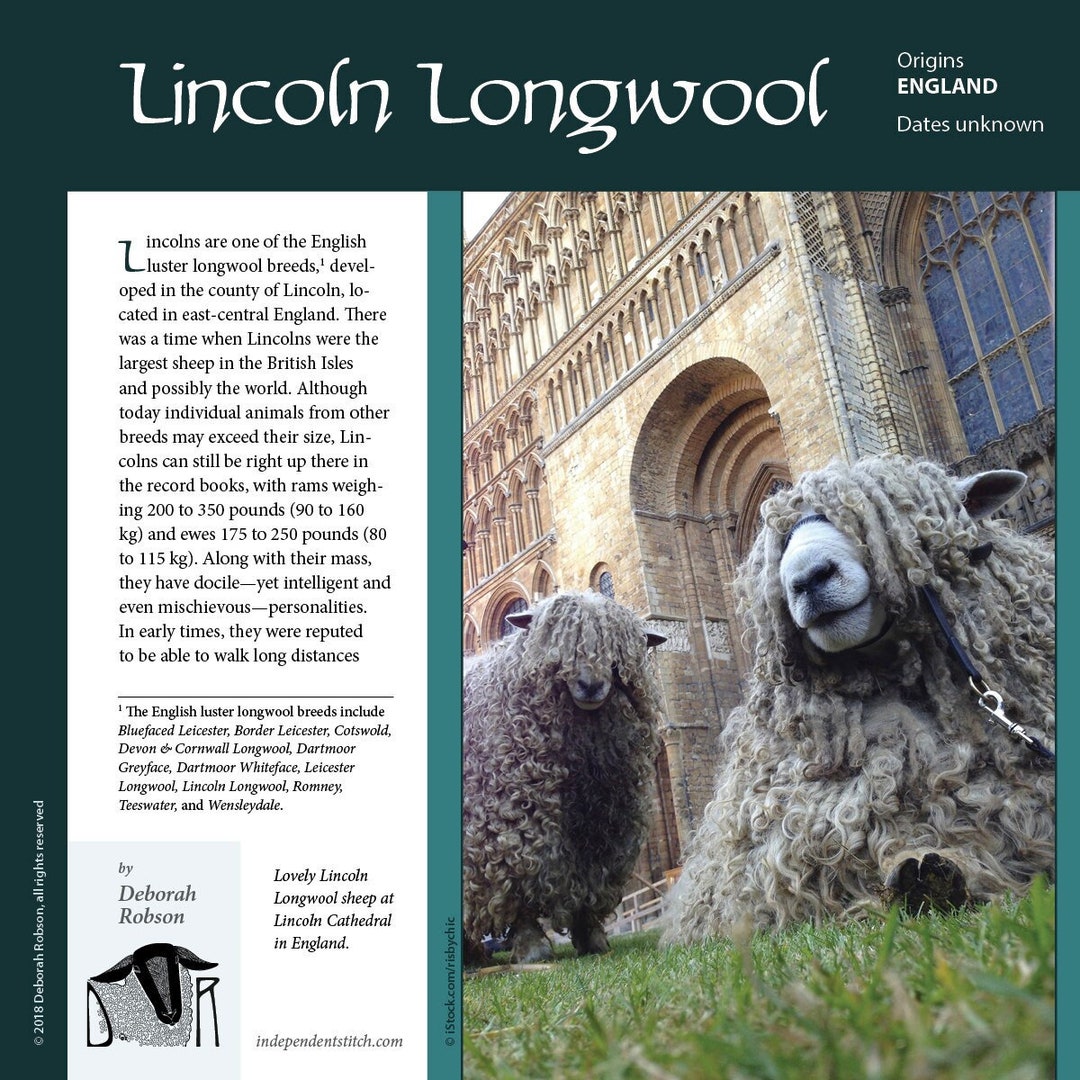 Guide to Fiber Intensive: Lincoln Longwool (PDF Download) - Etsy
