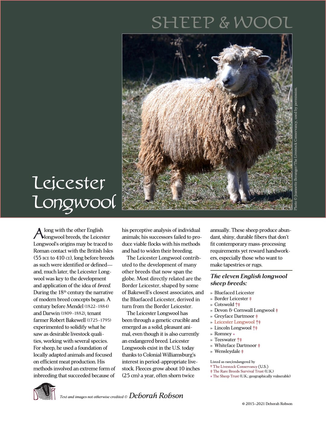 Sheep & Wool Mini Poster: Leicester Longwool (PDF Download) - Etsy