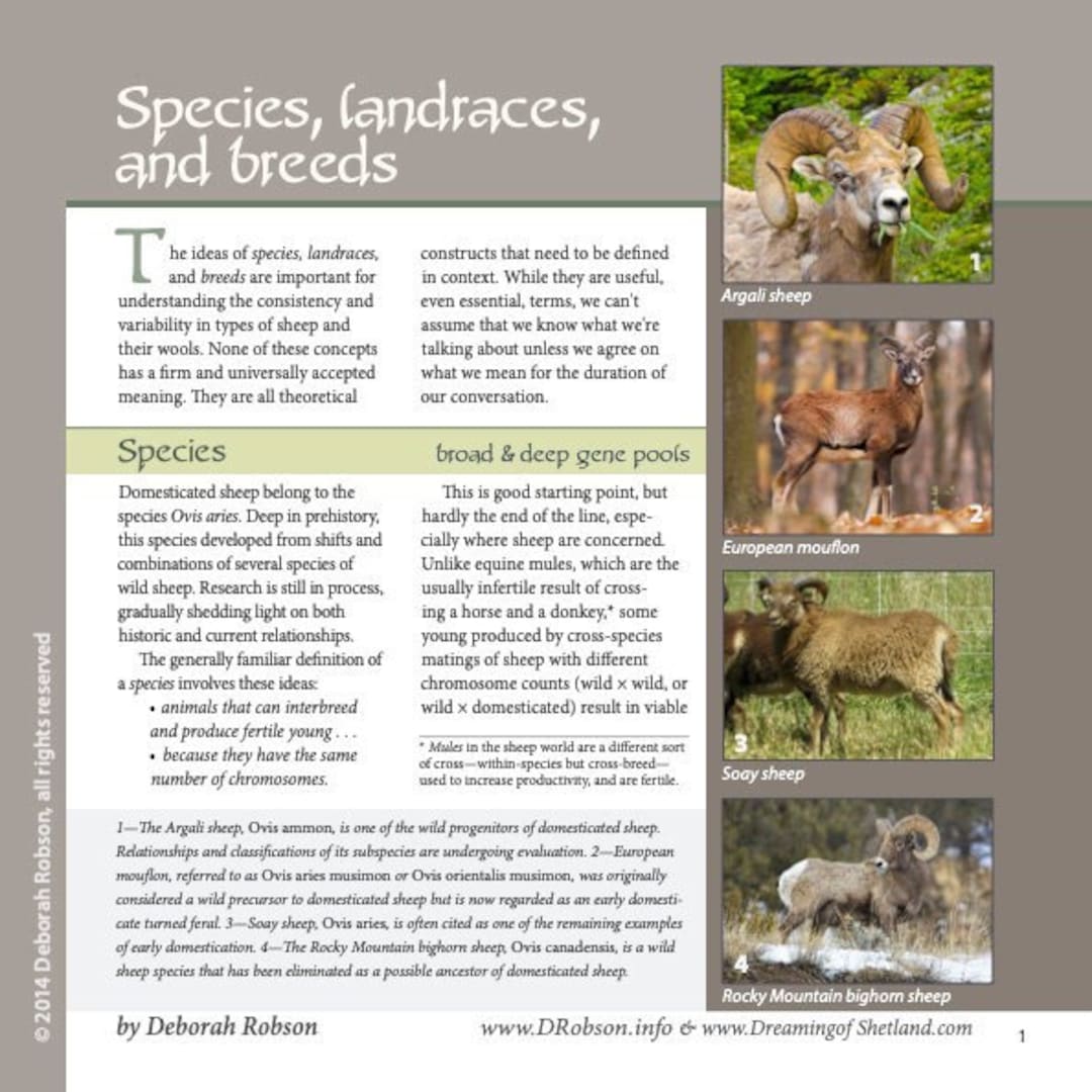 Facts for Fiber Geeks: Species-landrace-breed (PDF Download) - Etsy