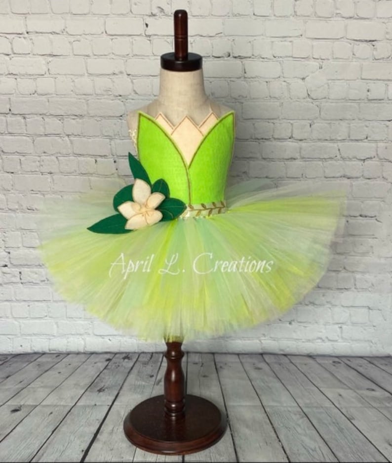 Frog Princess Inspired Birthday Outfit | Frog Princess Inspired Costume ...