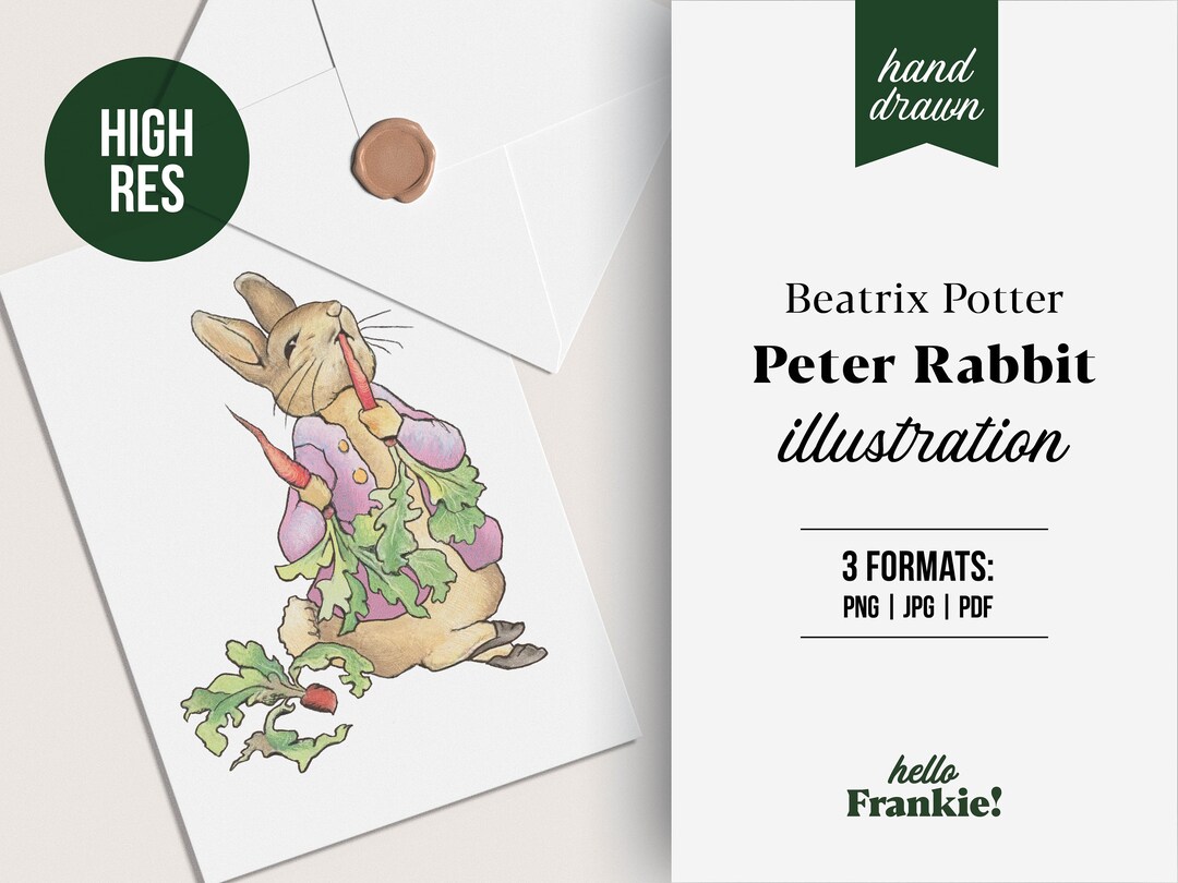 Beatrix Potter Peter Rabbit Illustration | Hand Drawn PNG | Beatrix ...