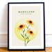 Maryland Print – State Flower Poster, Black-eyed Susan Flower ...