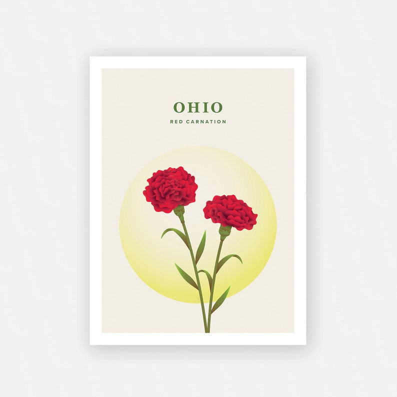 Ohio Print State Flower Poster, Red Carnation Flower Illustration ...