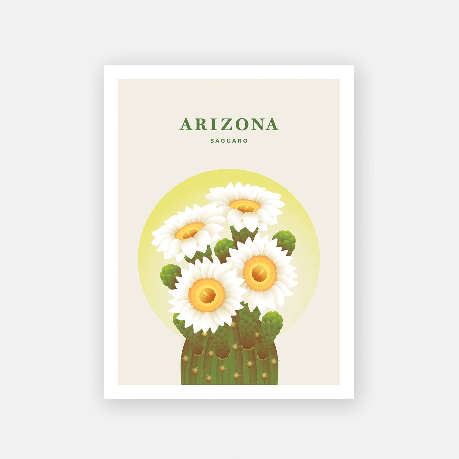 Arizona Print State Flower Poster, Saguaro Illustration, Arizona Poster ...