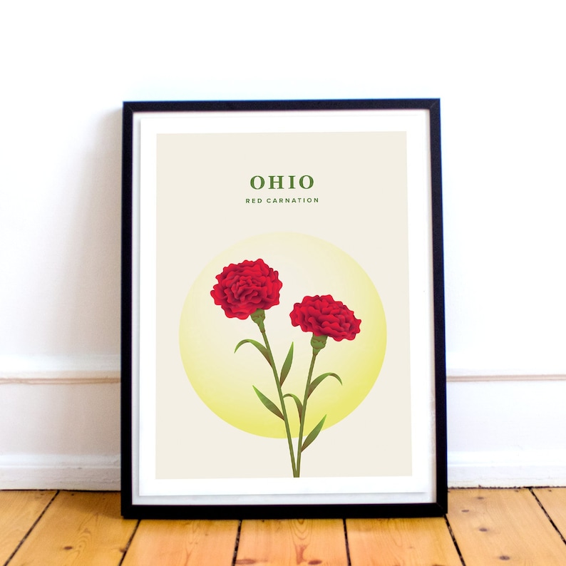 Ohio Print – State Flower Poster, Red Carnation Flower Illustration ...