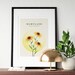 Maryland Print – State Flower Poster, Black-eyed Susan Flower ...