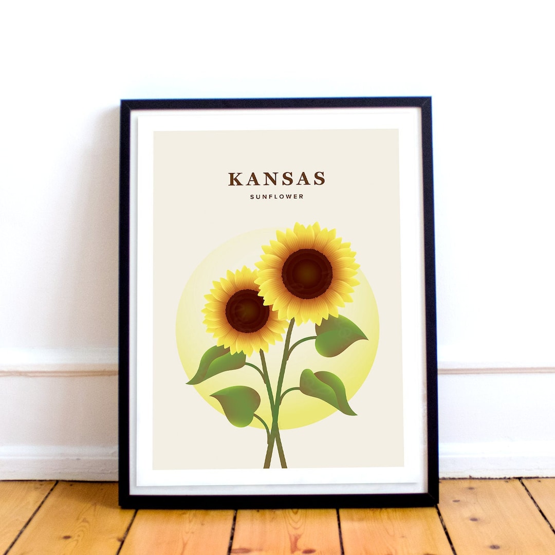 Kansas Print – Kansas State Flower Poster, Sunflower Illustration ...