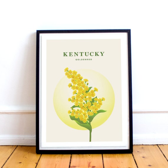 Kentucky Print Kentucky State Flower Poster Goldenrod - Etsy