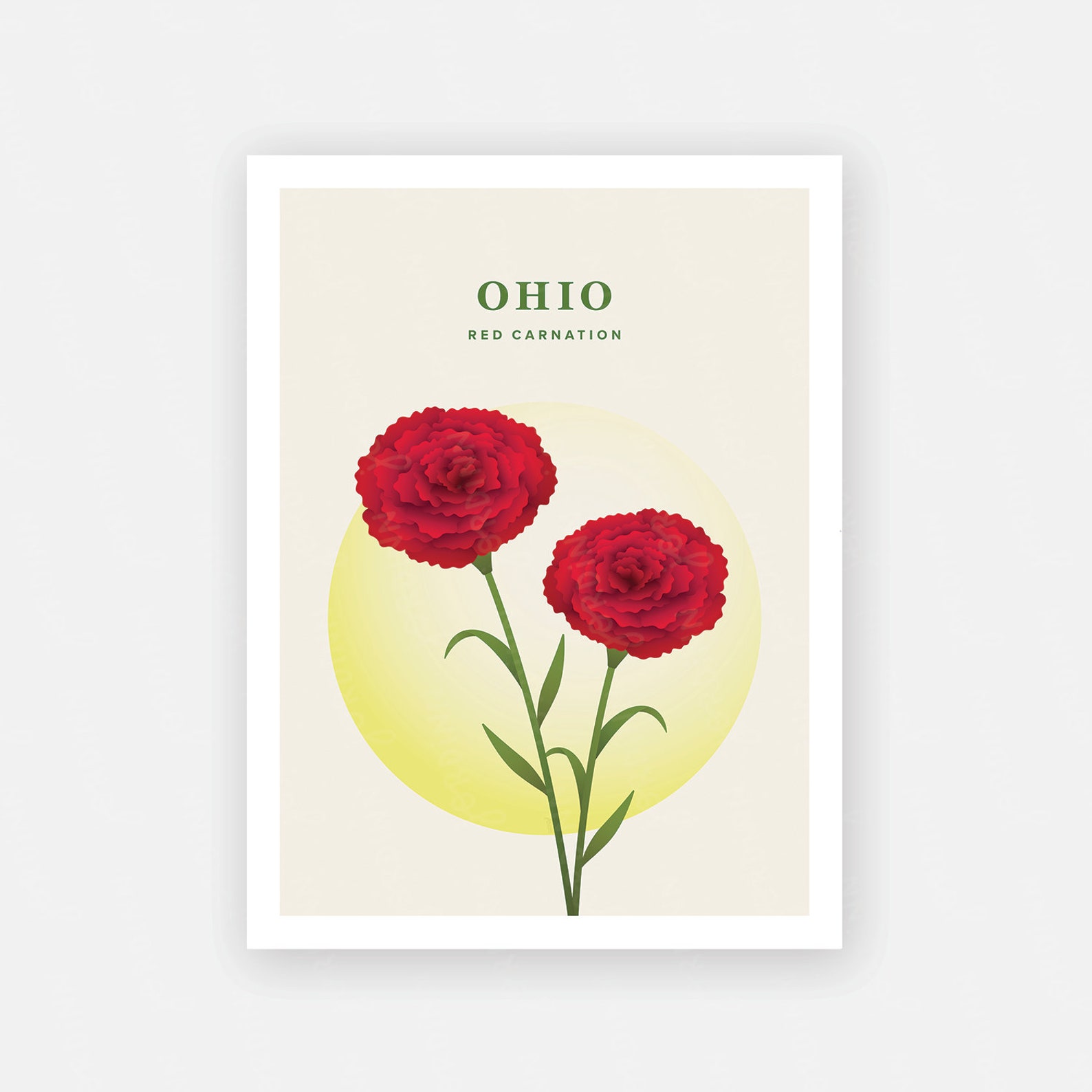 Ohio Print State Flower Poster Red Carnation Flower | Etsy