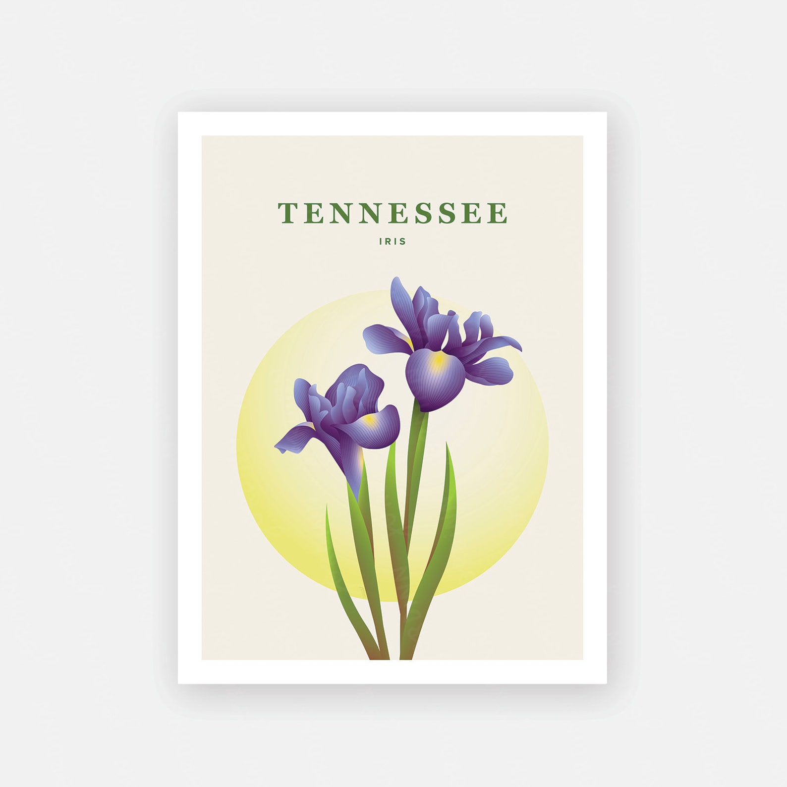 Tennessee Print Tennessee State Flower Poster Iris - Etsy 日本