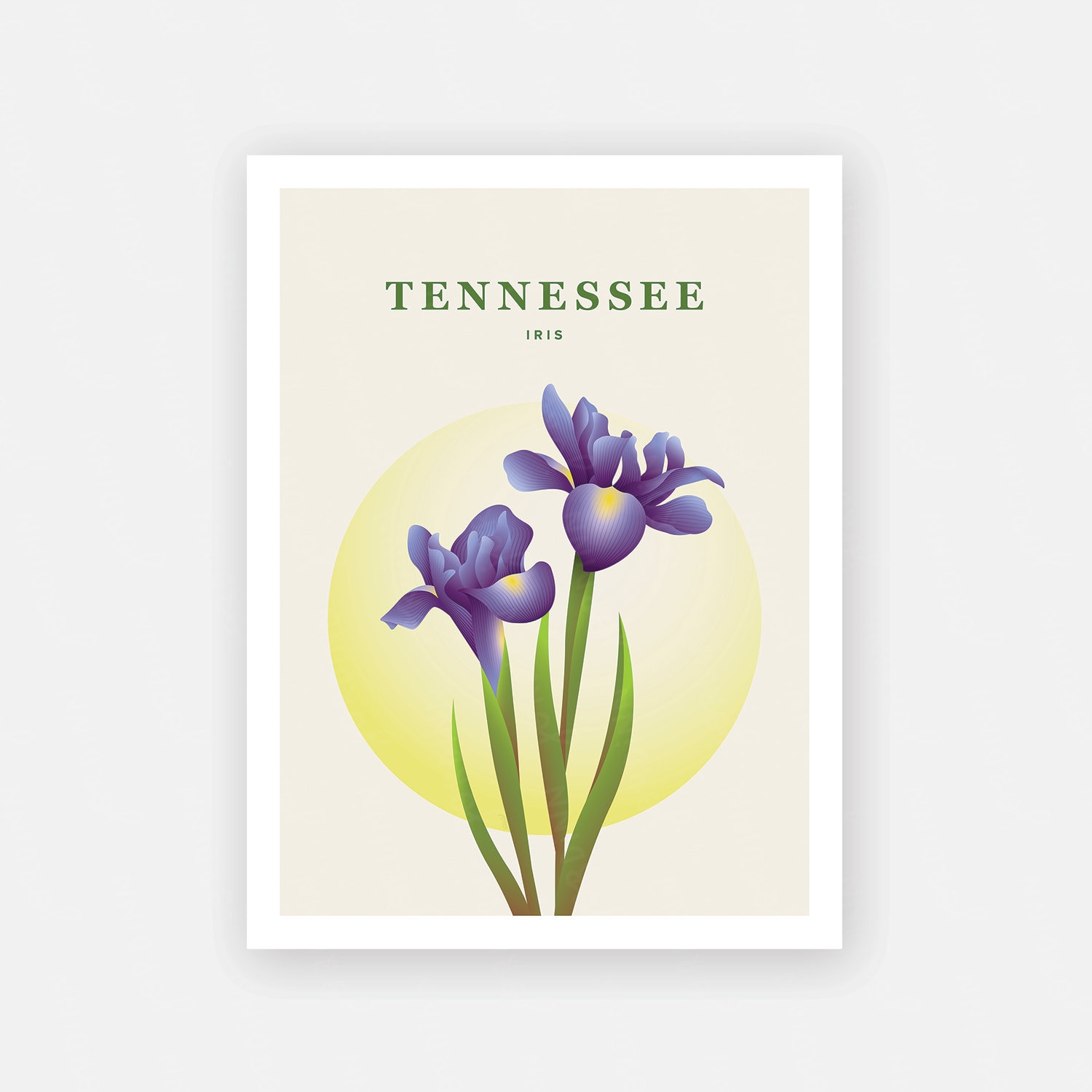 Tennessee Print Tennessee State Flower Poster Iris - Etsy 日本