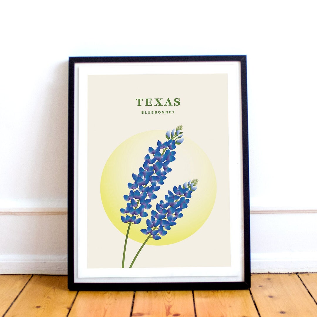 Texas Print – Texas State Flower Poster, Bluebonnet Illustration, Texas ...