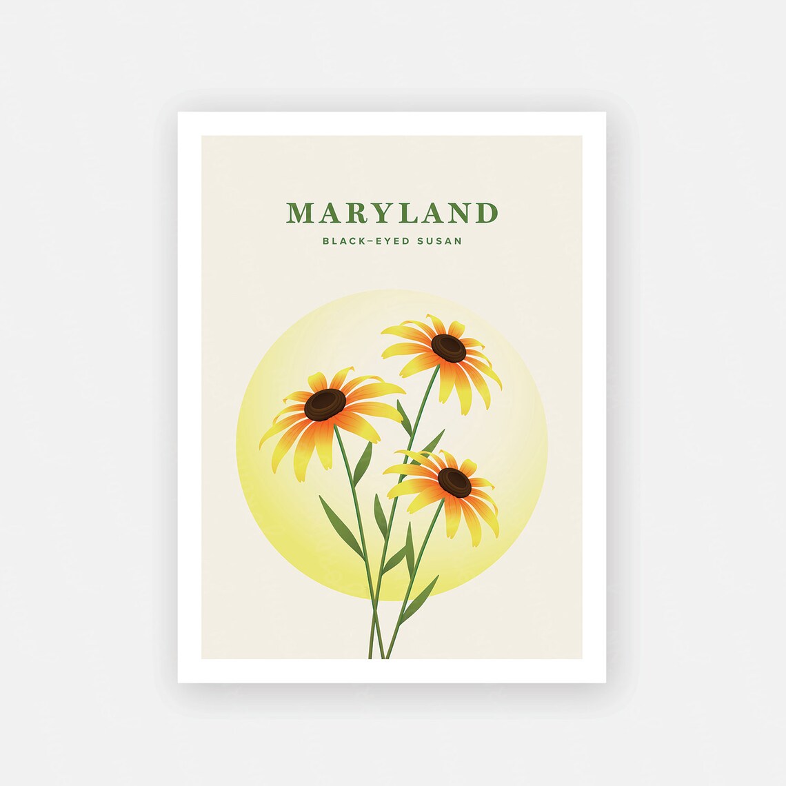 Maryland Print State Flower Poster, Black-eyed Susan Flower ...