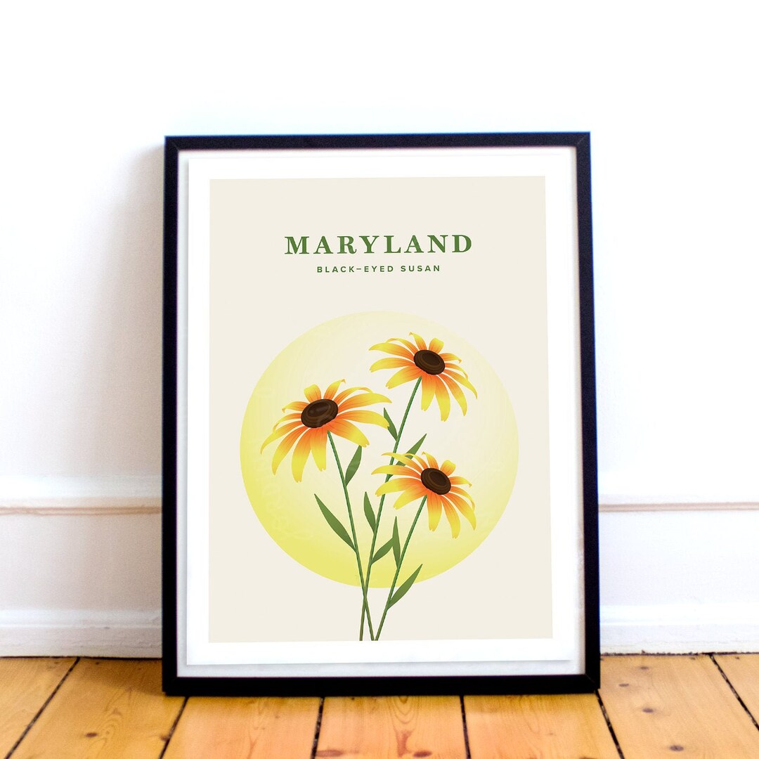 Maryland Print – State Flower Poster, Black-eyed Susan Flower ...