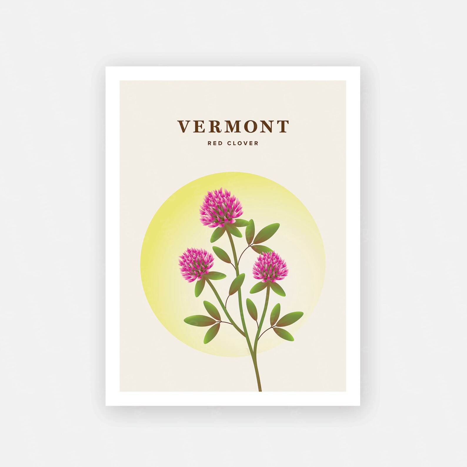 Vermont Print – Vermont State Flower Poster, Red Clover Illustration ...