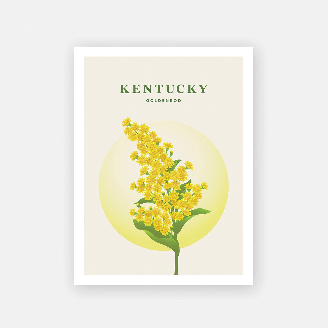 Kentucky Print – Kentucky State Flower Poster, Goldenrod Illustration ...