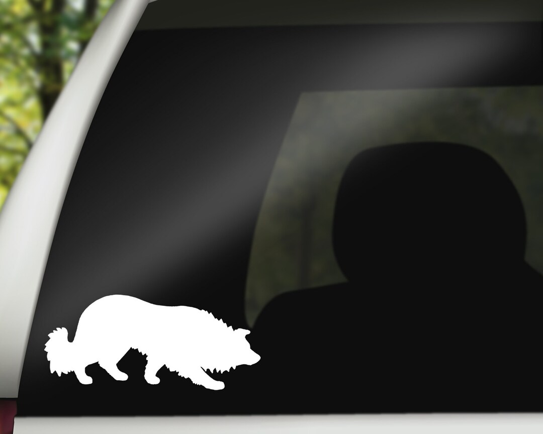 Border Collie Decal - Many Colors Offered! - Etsy
