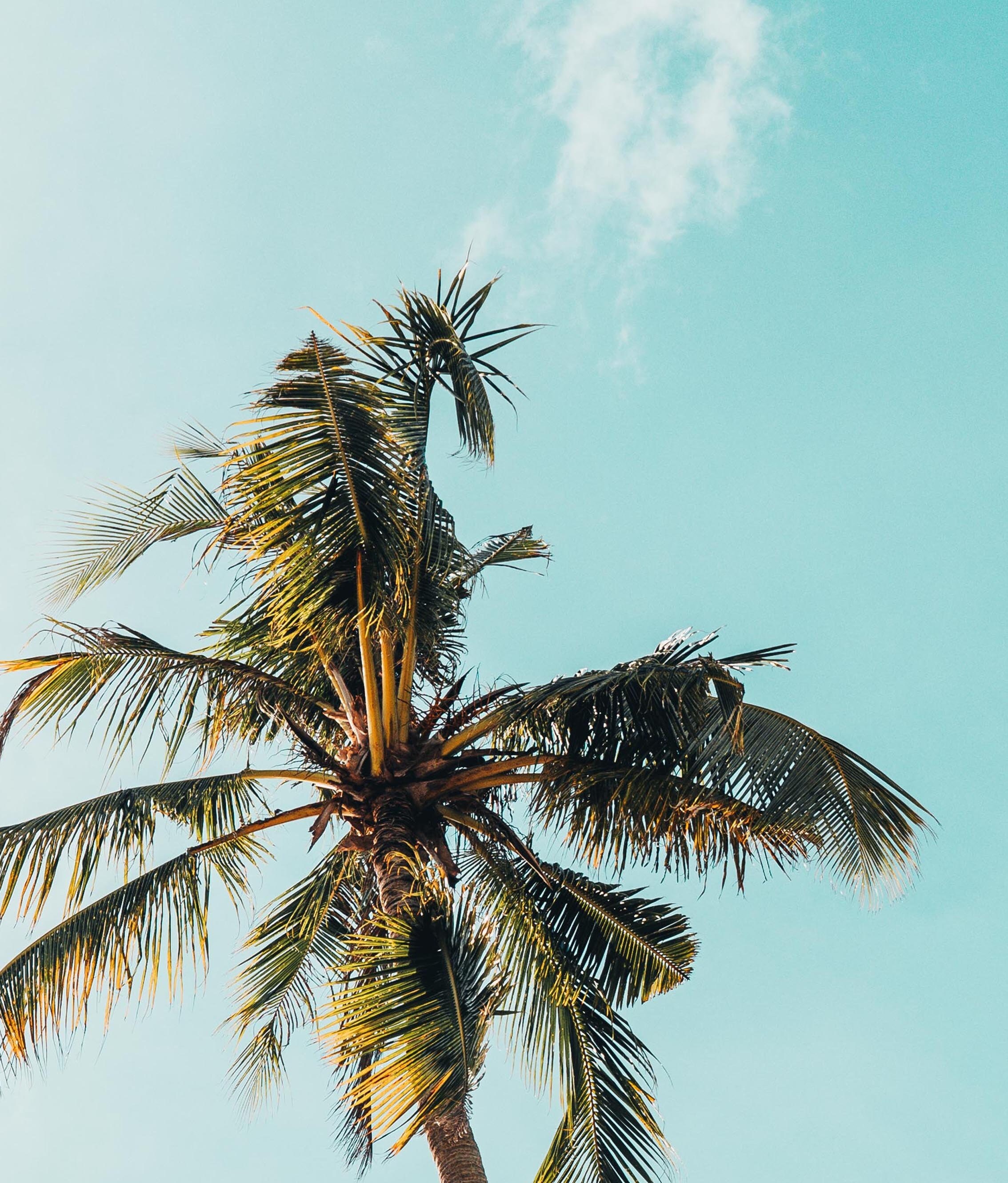 Set of Two Beach Prints Printable Art Van Blue Prints Surf - Etsy Australia