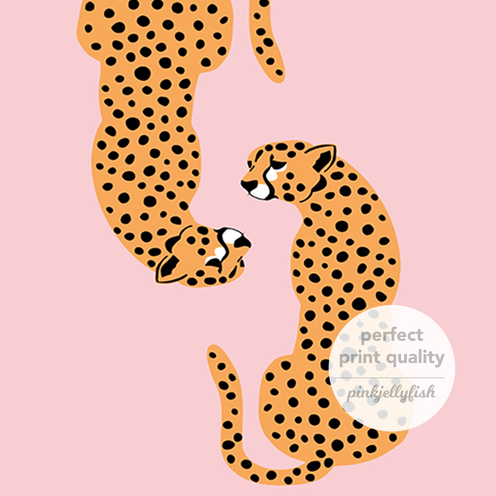 Preppy Wall Decor Leopard Pink Bedroom Decor Teens Apartment - Etsy